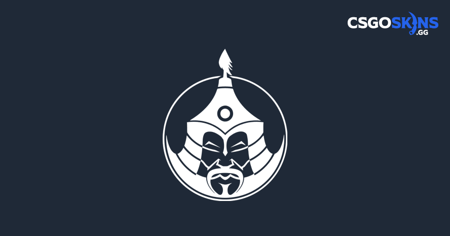 910 CS2 Inventory - CSGOSKINS.GG