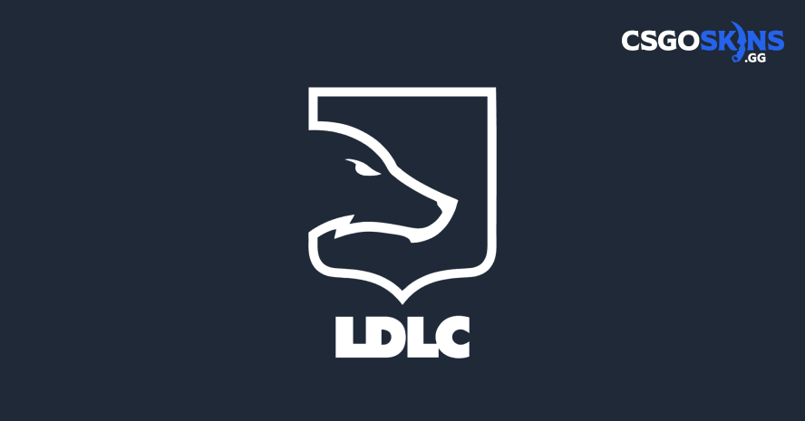 All Team LDLC.com Stickers - CSGOSKINS.GG