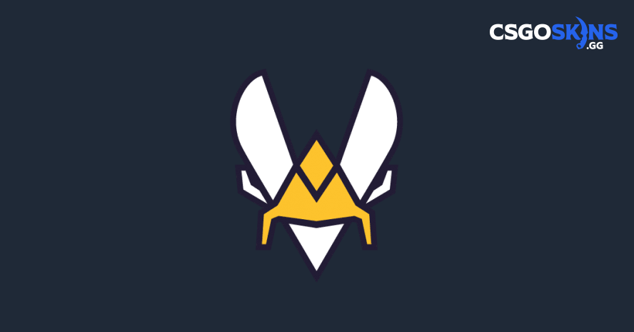 All Stickers From ropz - CSGOSKINS.GG