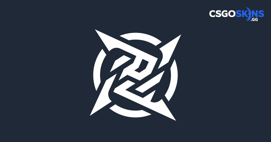 All NiP Team A Stickers - CSGOSKINS.GG