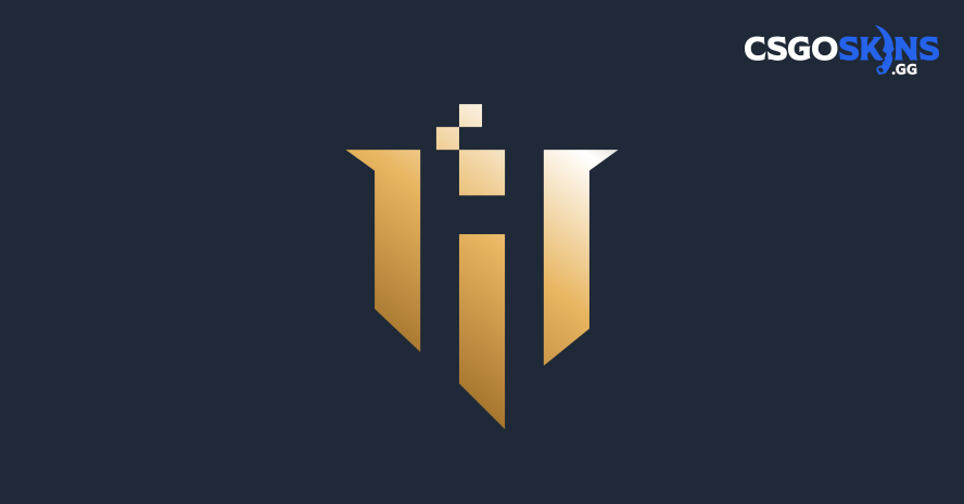 bLitz CS:GO Inventory - CSGOSKINS.GG